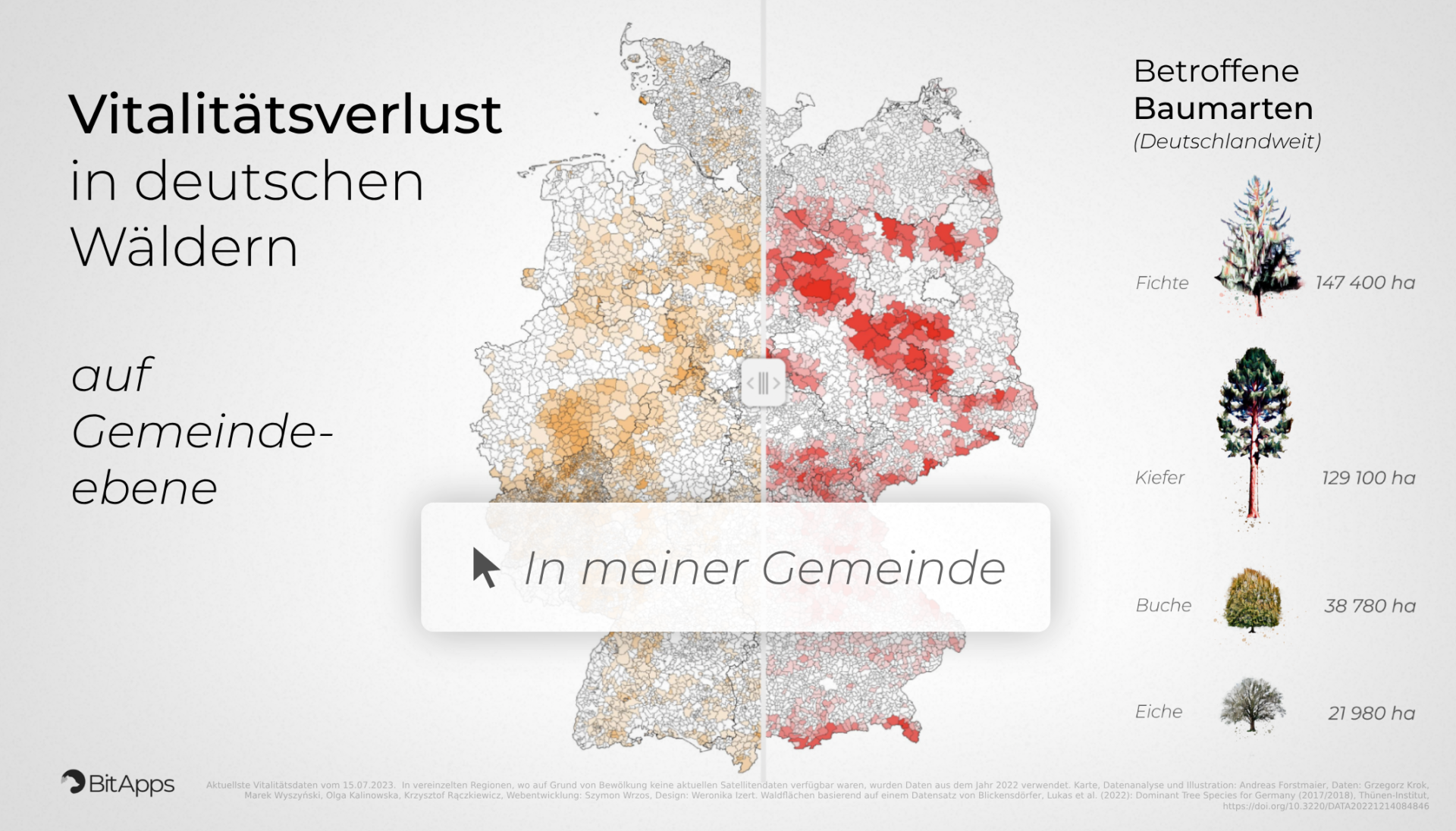 Loss of vitality in German forests by municipalities