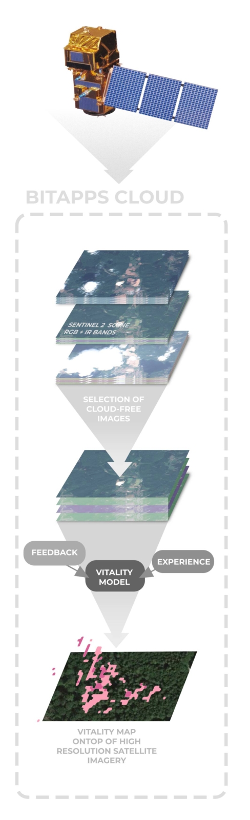 Loss of vitality in German forests by municipalities